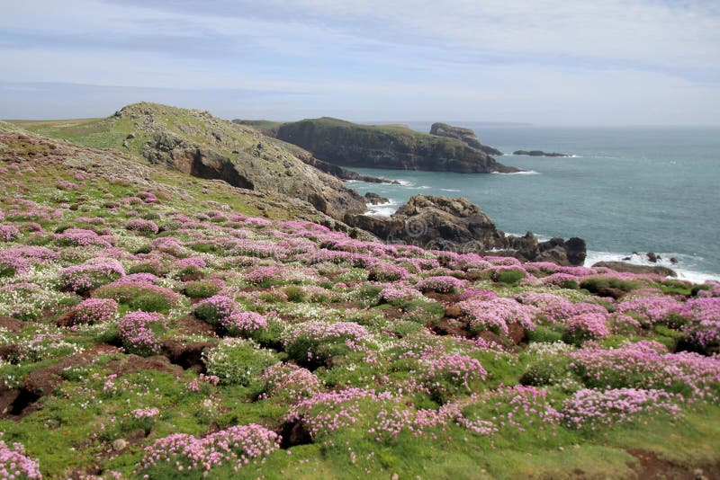 Skomer Island stock photo. Image of island, scenic, rocks - 97982562