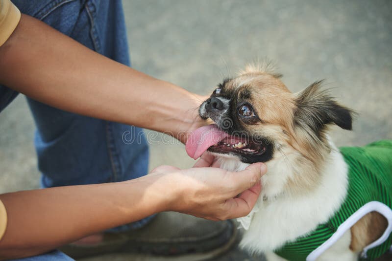 Skretching Neck Stock Photos - Free & Royalty-Free Stock Photos from ...