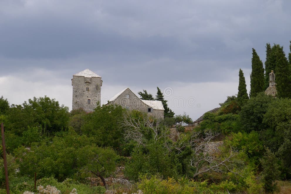 Skrip stock image. Image of trees, home, croatia, stone - 22878807