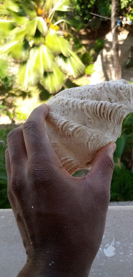 Skrl View Stock Photos - Free & Royalty-Free Stock Photos from Dreamstime