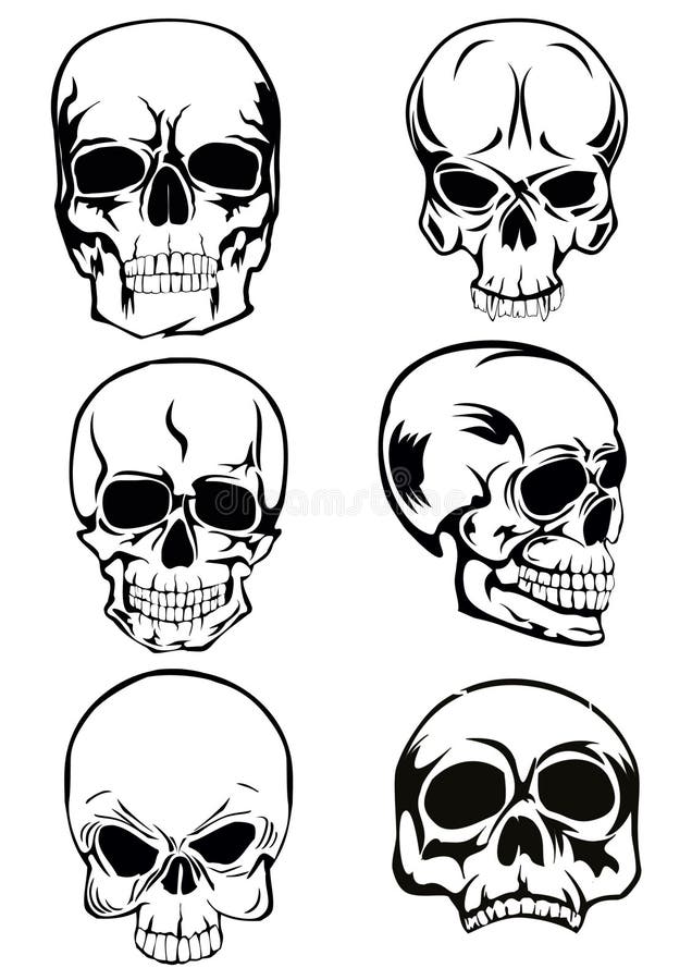 Smiling skull stock vector. Illustration of abstract - 24874750