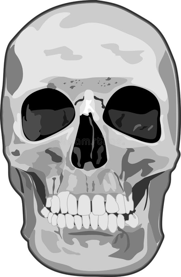 Skull Picture. Image: 6823869