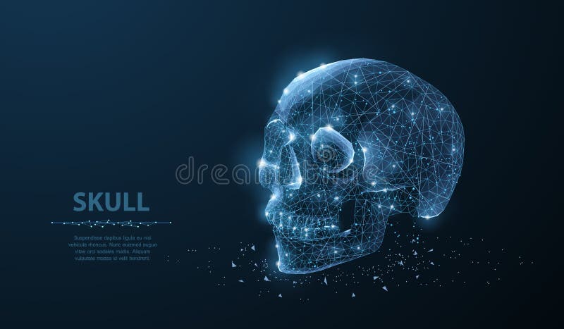 Skull. Abstract Vector Polygonal Skeleton Skull Illustration on Dark ...