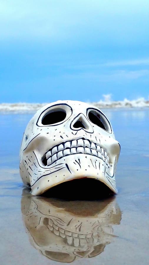 Skull on beach stock photo. Image of beach, water, ocean - 116920916
