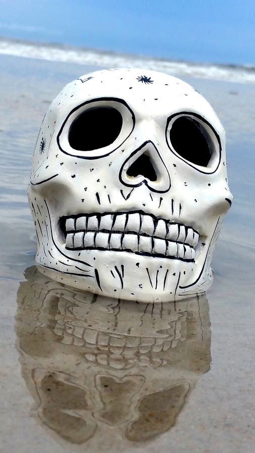 Skull on beach stock image. Image of ocean, outdoors - 116920919
