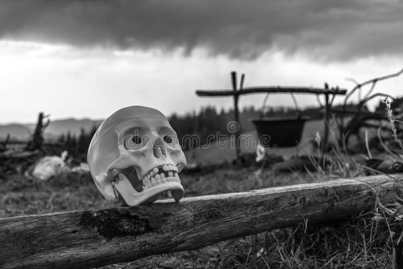 Skull on the Bench Against the Backdrop of the Mountains. Bw. Stock ...