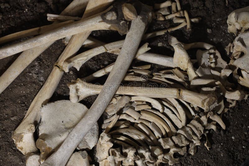 Skull and Bones Digged from Pit in the Scary Graveyard of Prisoners ...