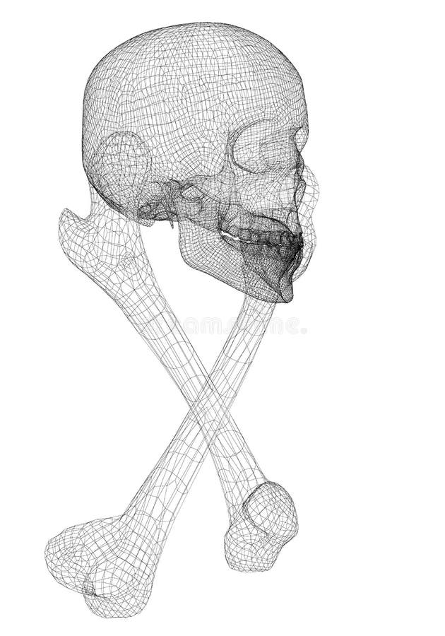 Skull and Bones stock illustration. Illustration of danger - 67580643