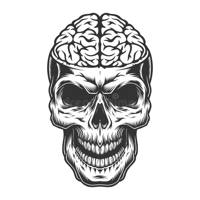Skull with the brain stock vector. Illustration of biology - 122169312