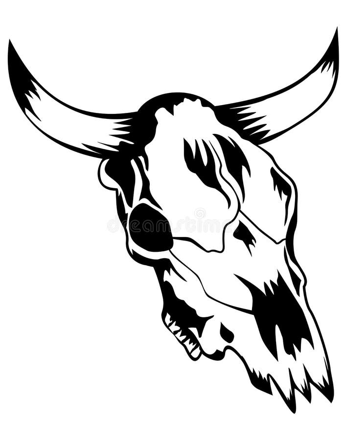 Skull bull stock vector. Illustration of design, isolated - 24333083