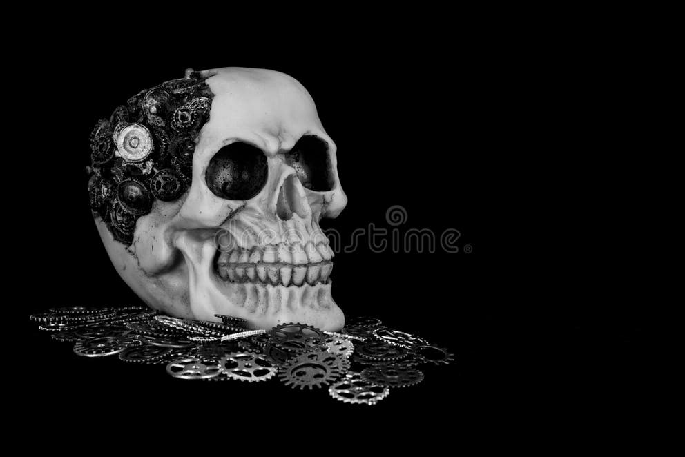 Skull and Cogs Home Made Skull with Cogs for Brains Dramatic Day of ...