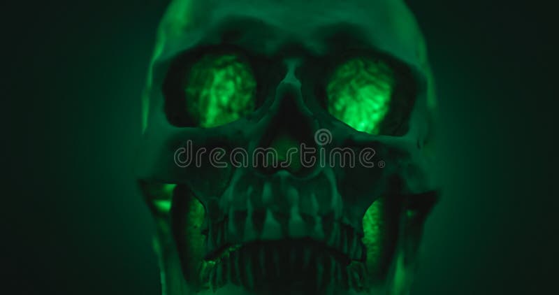 Skull with Colored Lighting Loop Closeup Stock Photo - Image of science ...