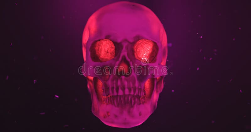 Skull with Colored Lighting Loop Closeup Stock Photo - Image of human ...