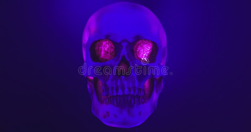 Skull with Colored Lighting Loop Closeup Stock Photo - Image of fear ...