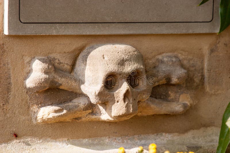 Skull and crossbones stock photo. Image of rest, dead - 46206948