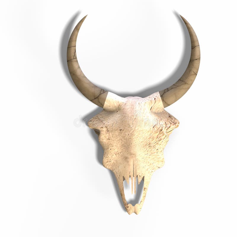 Skull Of A Dead Animal Picture. Image: 9418876