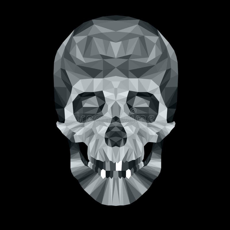 Skull Death Skeleton Dead Head Illustration Danger Human Stock ...