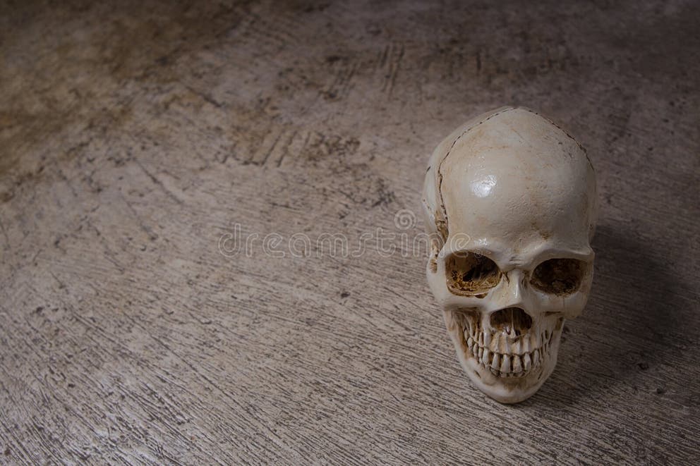 Skull on dirty floor image stock image. Image of scary - 92590933