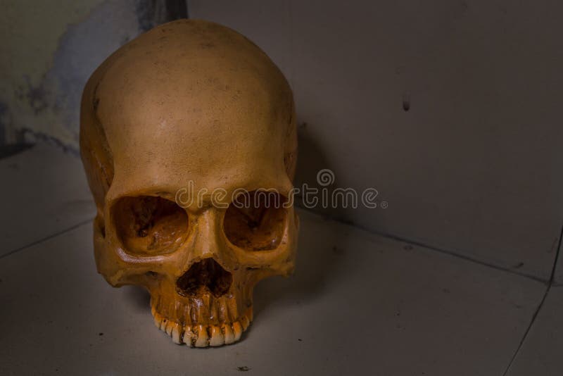 Skull on dirty floor image stock photo. Image of human - 92591012