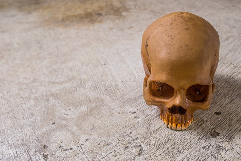 Skull on dirty floor image stock image. Image of anatomy - 92591013