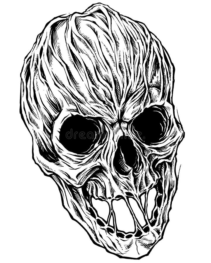 Skull Drawing Line Work Vector. Stock Vector - Illustration of period ...