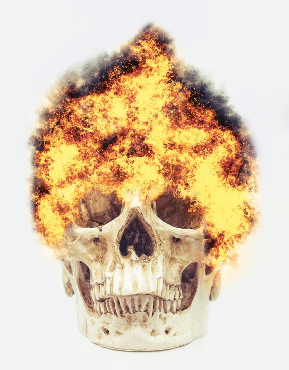 Skull on fire stock image. Image of hard, concept, head - 63688959