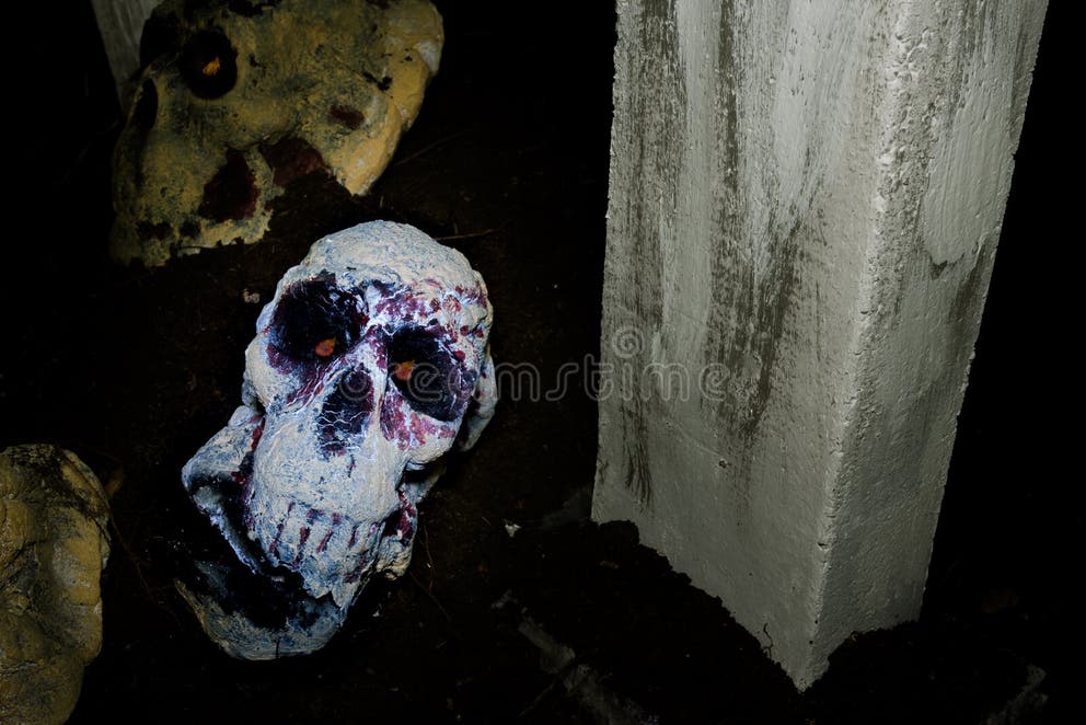 Skull in Graveyard, Filter Effect Stock Image - Image of skull ...