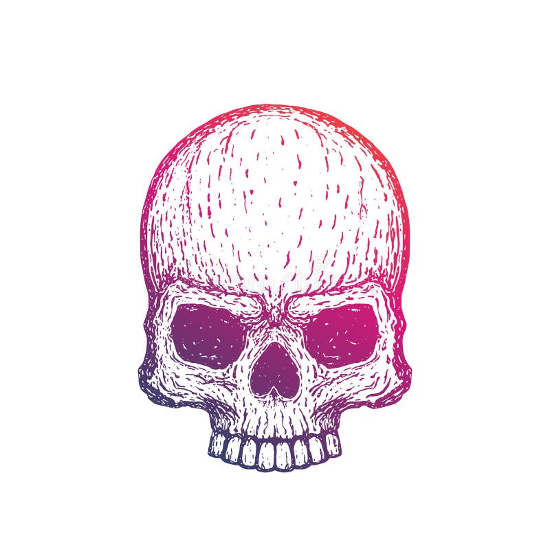 Skull Hand Drawn Vector Illustration Stock Vector - Illustration of ...