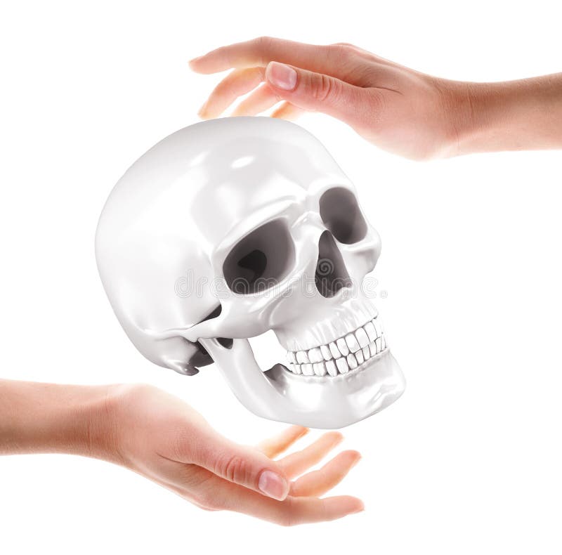 Skull in hands. stock image. Image of cranium, anatomy - 48194721
