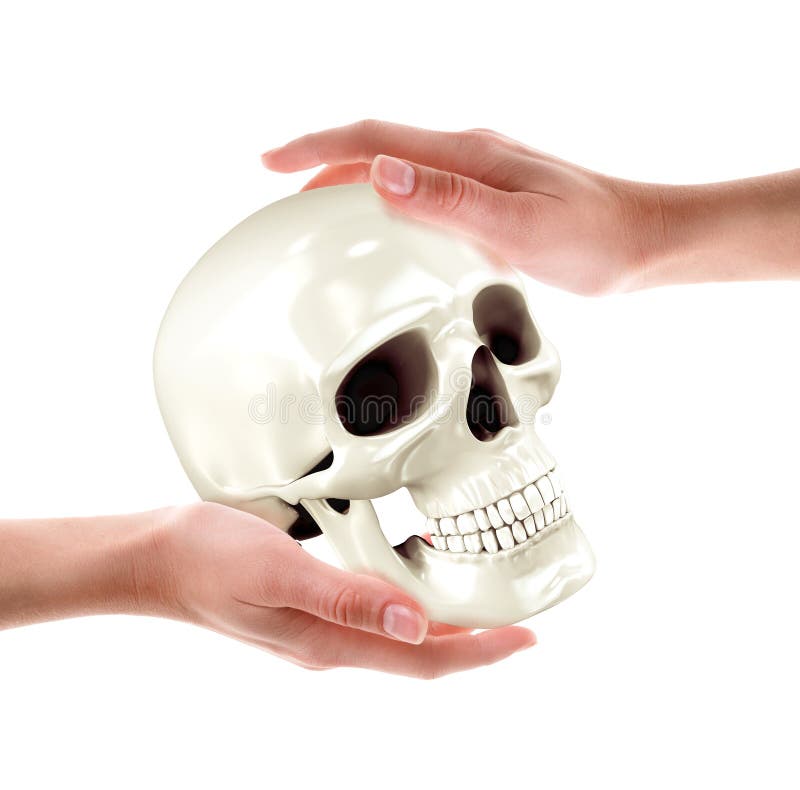 Skull in hands. stock image. Image of white, anatomy - 48194961