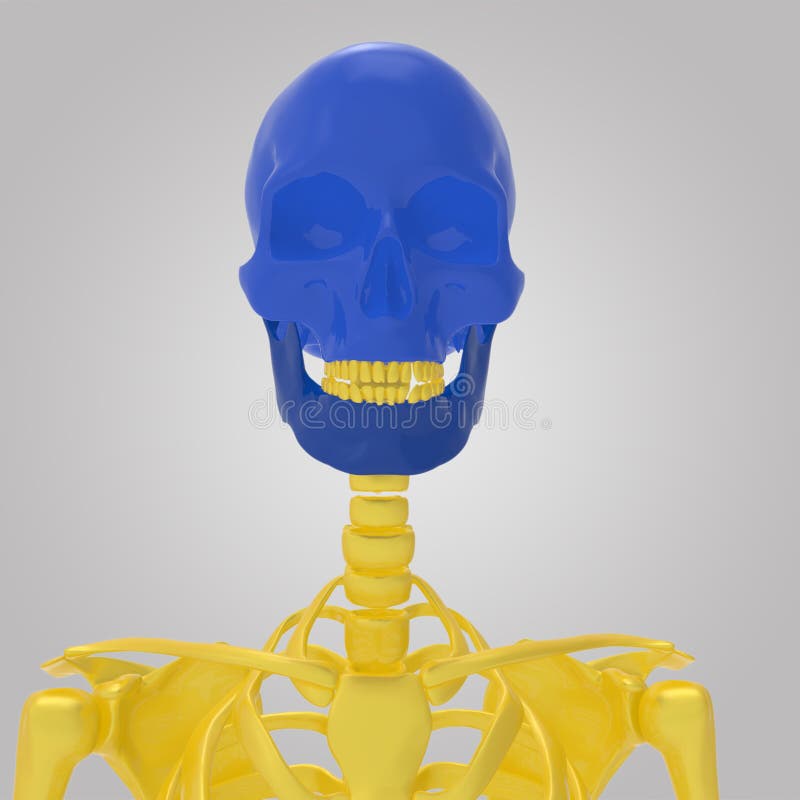 Skull stock illustration. Illustration of angle, bone - 40870832