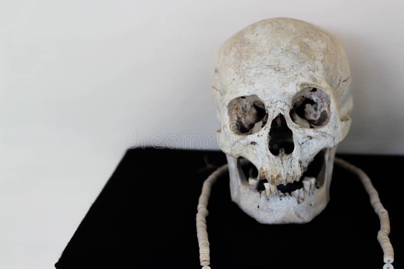 Skull of the Human Fossilized Background White Neanderthal Brain ...