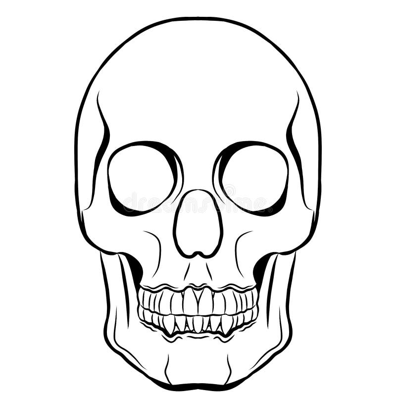 Skull Illustration Sketch Design Digital Drawing Graphic Print Stock ...