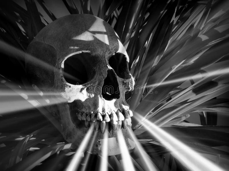 Skull of Light stock image. Image of teeth, socket, horror - 49275223