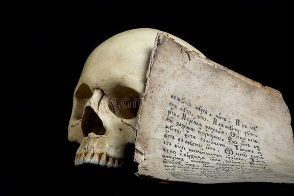 Skull and manuscript stock photo. Image of aged, manuscript - 2064040
