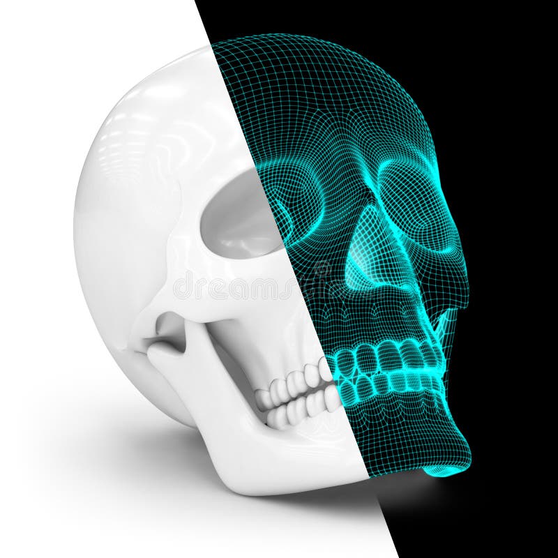 Skull stock illustration. Illustration of bone, scan - 64583378