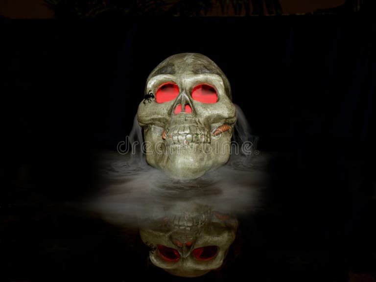 Skull in the Mist stock photo. Image of mist, gothic - 14902054