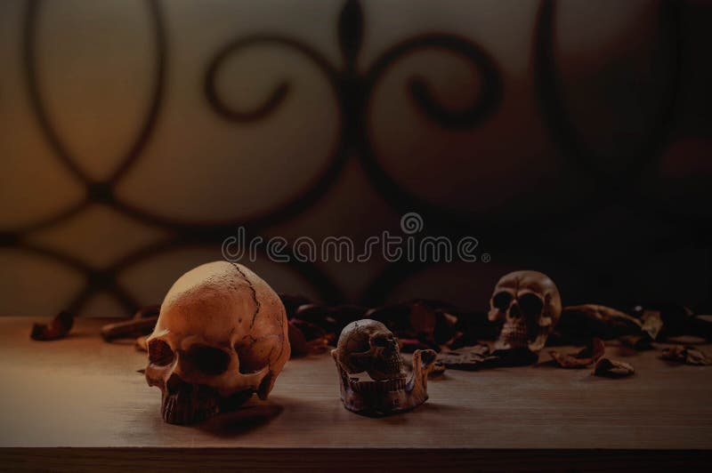 Skull on old wooden table stock image. Image of black - 78599539