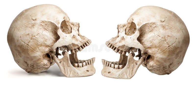 Skull-open mouth stock image. Image of human, bone, halloween - 195584501