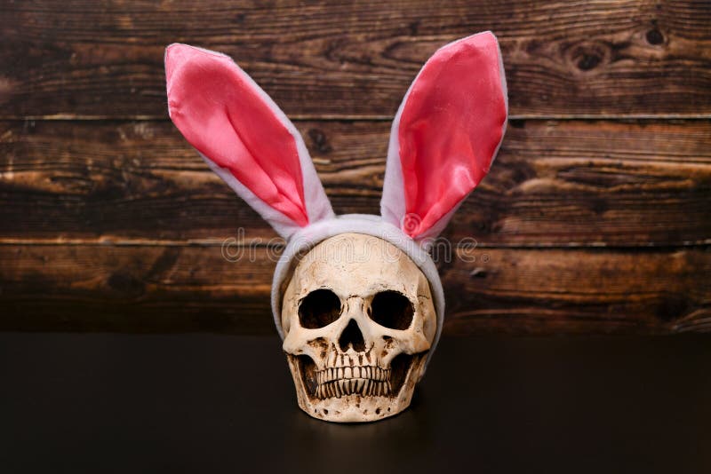 Skull with Pink Ears of the Easter Bunny Stock Image - Image of blank ...