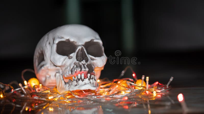 A Skull Placed on the Ground and a String of Beautiful Lights Stock ...