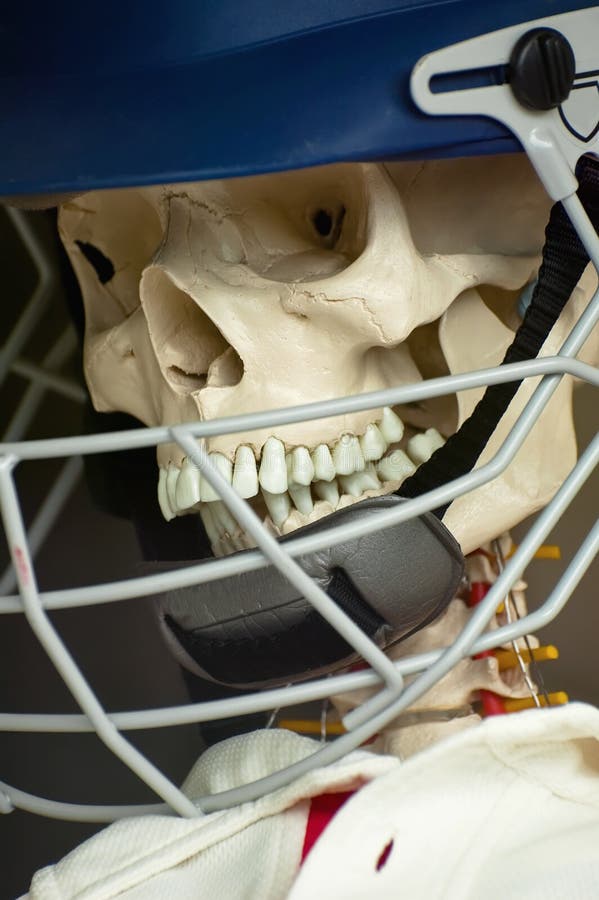 Skull protection stock image. Image of bones, anatomy - 10971207