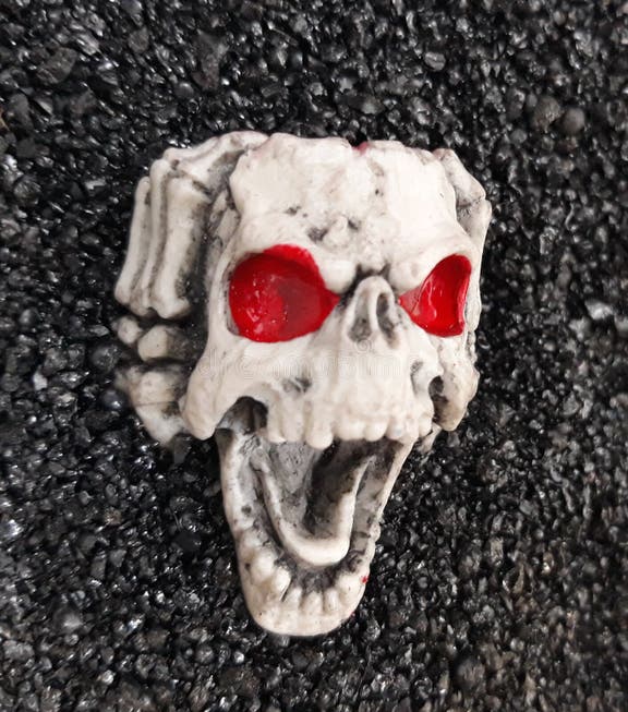 Skull stock photo. Image of rest, bones, human, scary - 115198628