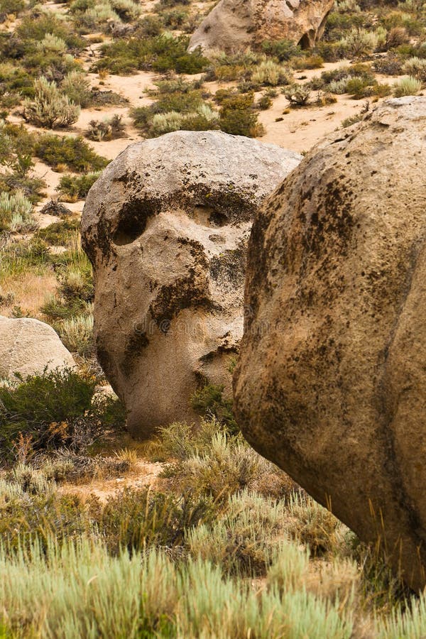 Skull Rock stock photo. Image of conceptual, black, california - 16462558