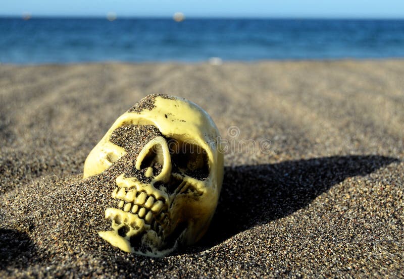 Skull on Sand stock image. Image of decoration, head - 143006391