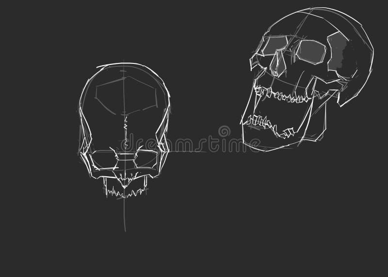 Skull Sketch with Open Mouth on Black Background in Different Angles ...