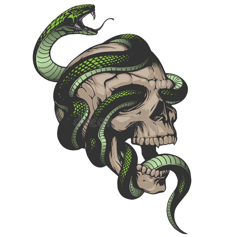 Skull with Snake Illustration Stock Vector - Illustration of gothic ...