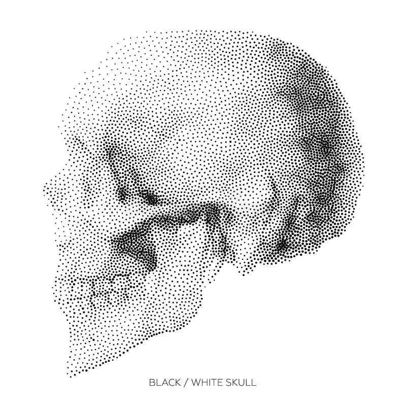 Skull 01 stock vector. Illustration of face, graphic - 65629992