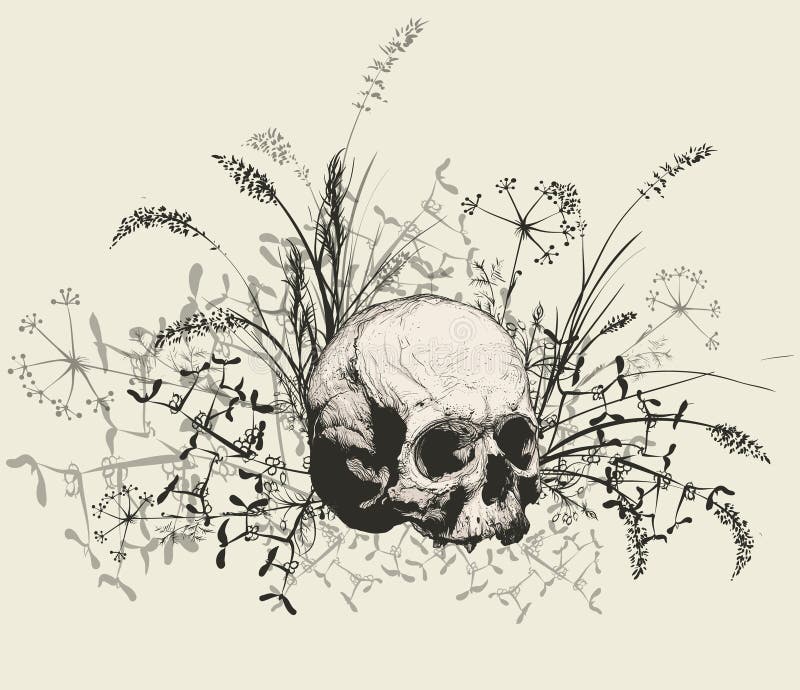 Skull Surrounded by a Field of Grass. Stock Vector - Illustration of ...