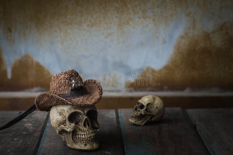 Skull on table. stock photo. Image of scary, bone, nature - 64617468
